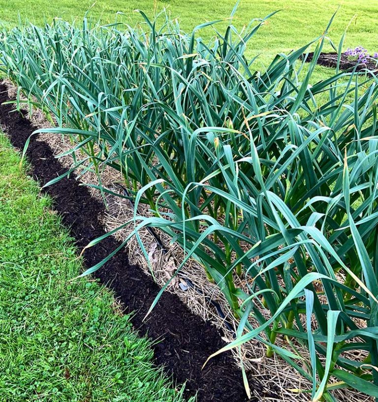 Premium Landscaping Straw Products | Birmingham, AL